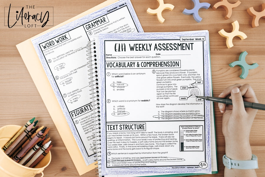 ELA Weekly Assessments 4th Grade | Printable | Google Forms – The ...