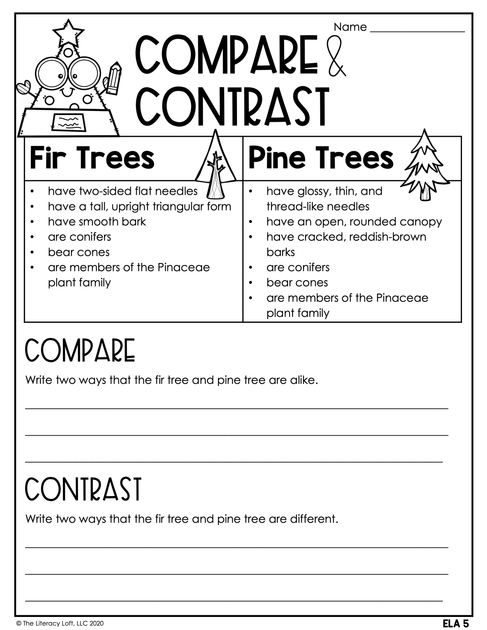 December No Prep Packet 2nd Grade – The Literacy Loft