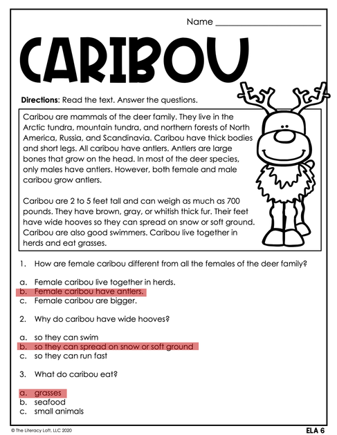 December No Prep Packet 2nd Grade – The Literacy Loft