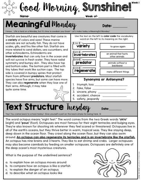 ELA Morning Work 3rd Grade {June} | Distance Learning | Google Slides ...