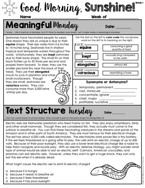 ELA Morning Work 5th Grade {June} | Distance Learning | Google Slides ...