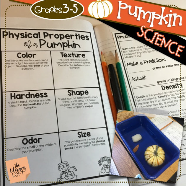 Pumpkin Science {Physical Science Investigation} – The Literacy Loft