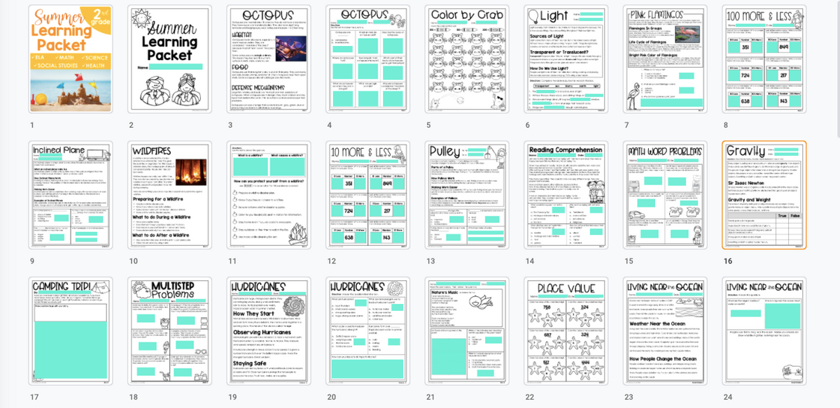 Summer Learning Packet (2nd Grade) Google Slides + Print – The Literacy ...