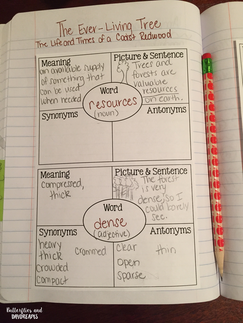Reading and Writing Notebook Charts (Ultimate Bundle) – The Literacy Loft